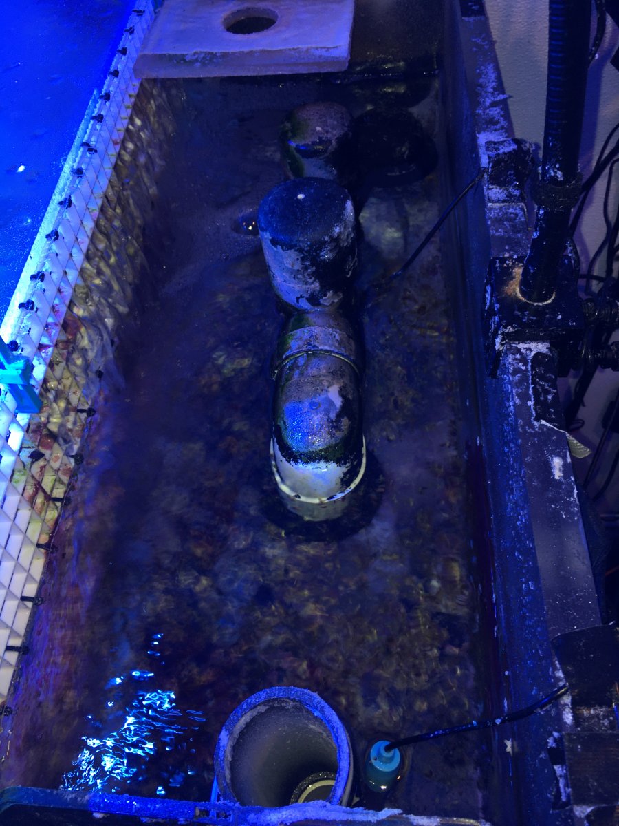 Show me your overflow plumbing! | Reef2Reef