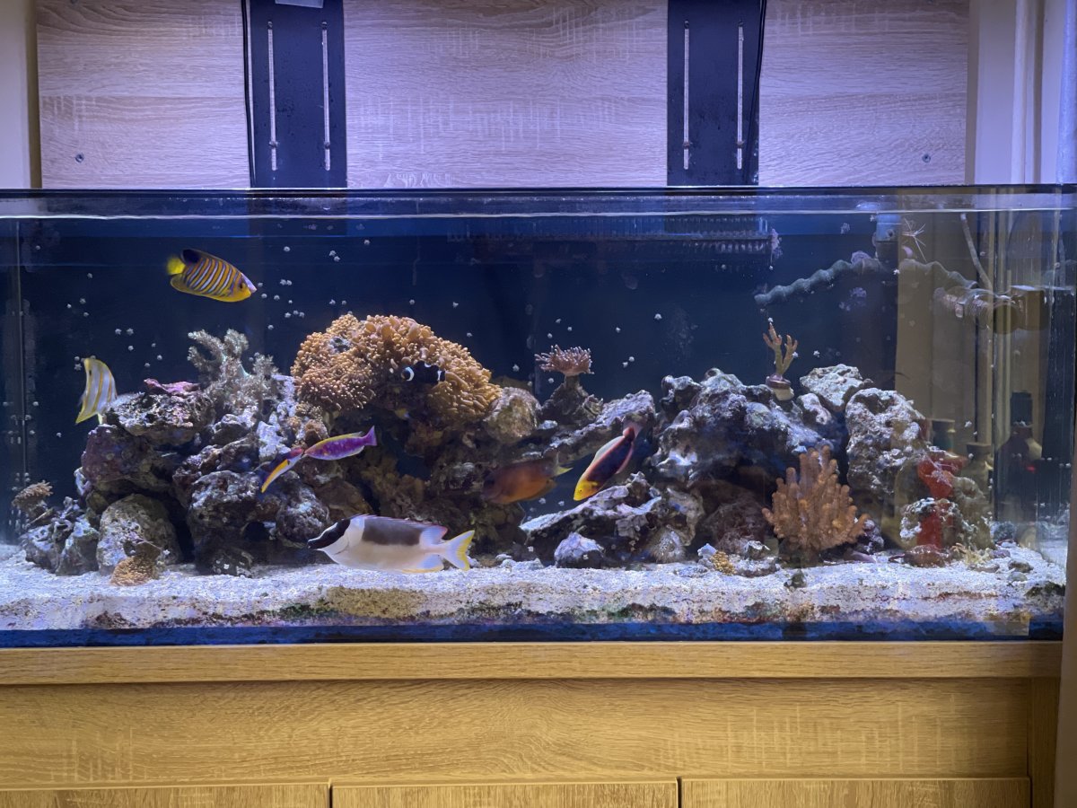 QUESTION OF THE DAY - Reef scape shapes: How many arches do you have in ...