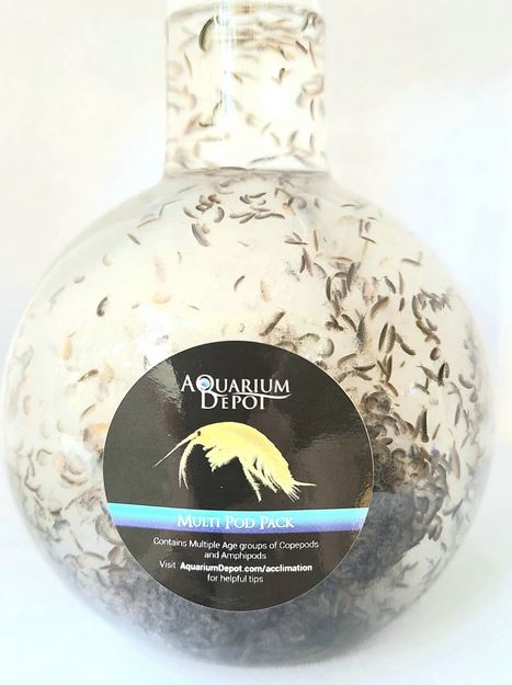 Is it worth adding live pods? What are the real benefits from your ...