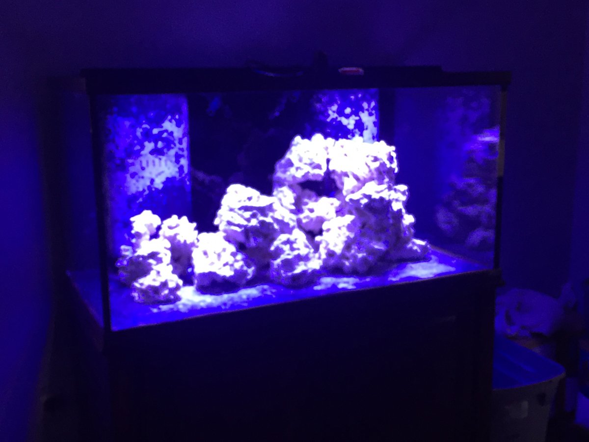 Build Thread - Perkins 120g reef tank build thread | REEF2REEF ...