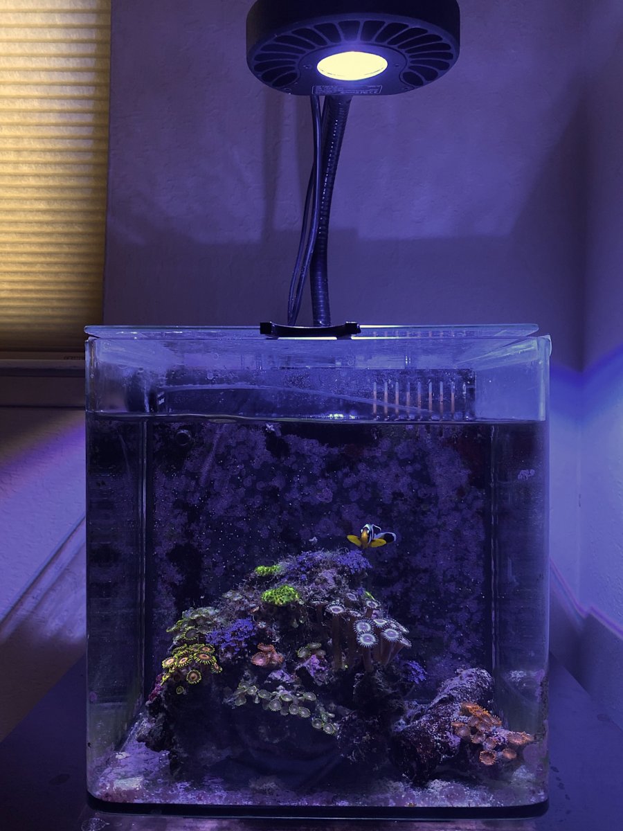 reef-pi :: An opensource reef tank controller based on Raspberry Pi ...