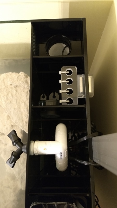 AIO Build - Waterbox Marine AIO 40.2 Build (by ingchr1) | Reef2Reef