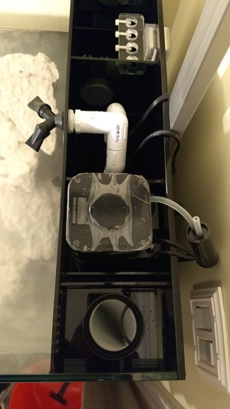 AIO Build - Waterbox Marine AIO 40.2 Build (by ingchr1) | Reef2Reef
