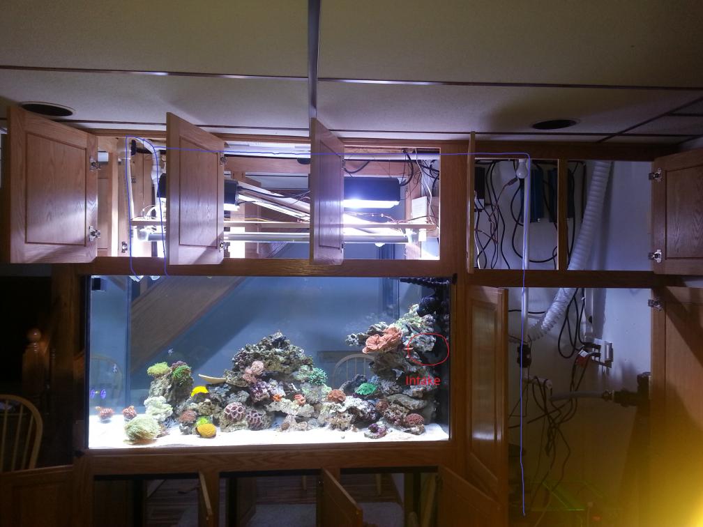 Build Thread - Custom 230 Peninsula Build | Page 19 | Reef2Reef