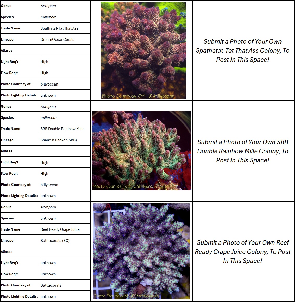 The Official "Full Spectrum SPS Stunners" Thread/Database | Reef2Reef
