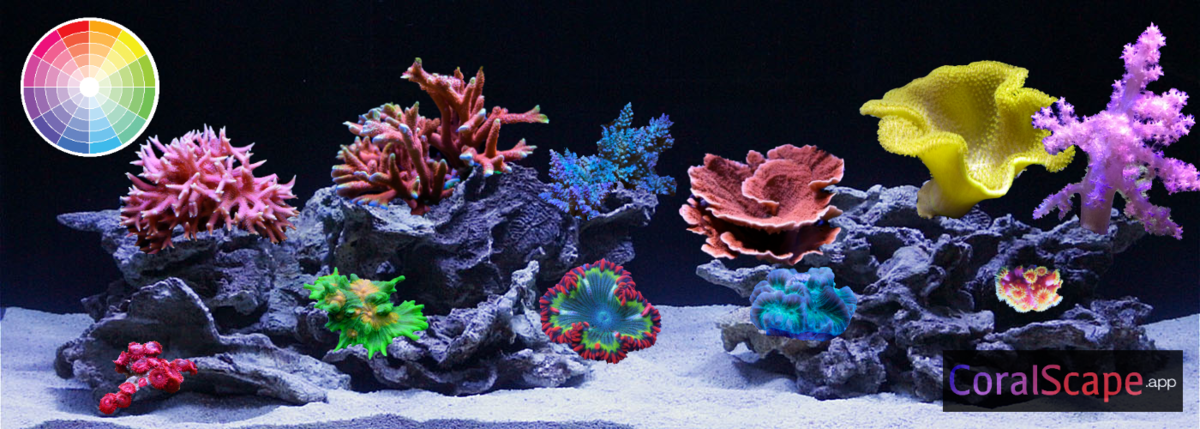 Hello - CoralScape - digital reef designer app - beta testers wanted ...