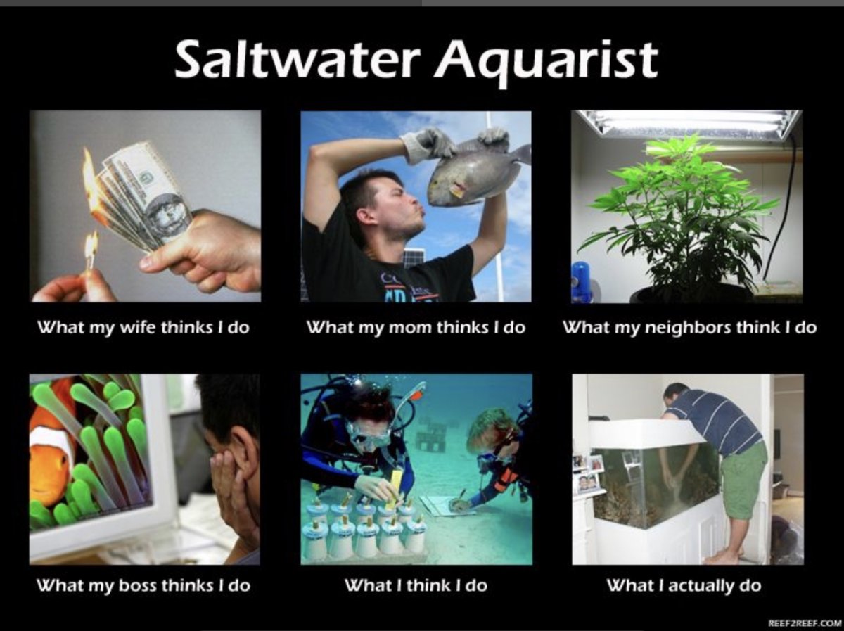 Its the dead of Winter...we need laughs...POST ALL YOUR REEFING MEME ...