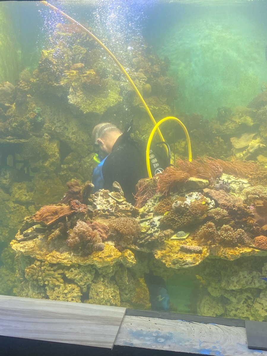 Monster Build - DIY Concrete Aquarium 5,000 gallon - Anderson Family ...