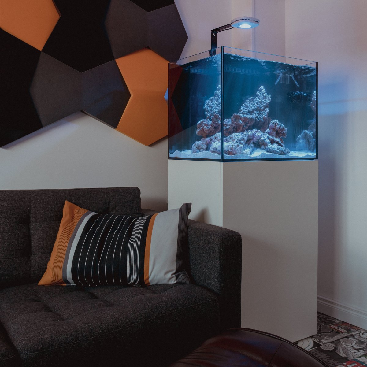 Build Thread - My Waterbox Marine X 60.2 Robotank Reefpi Build | Reef2Reef