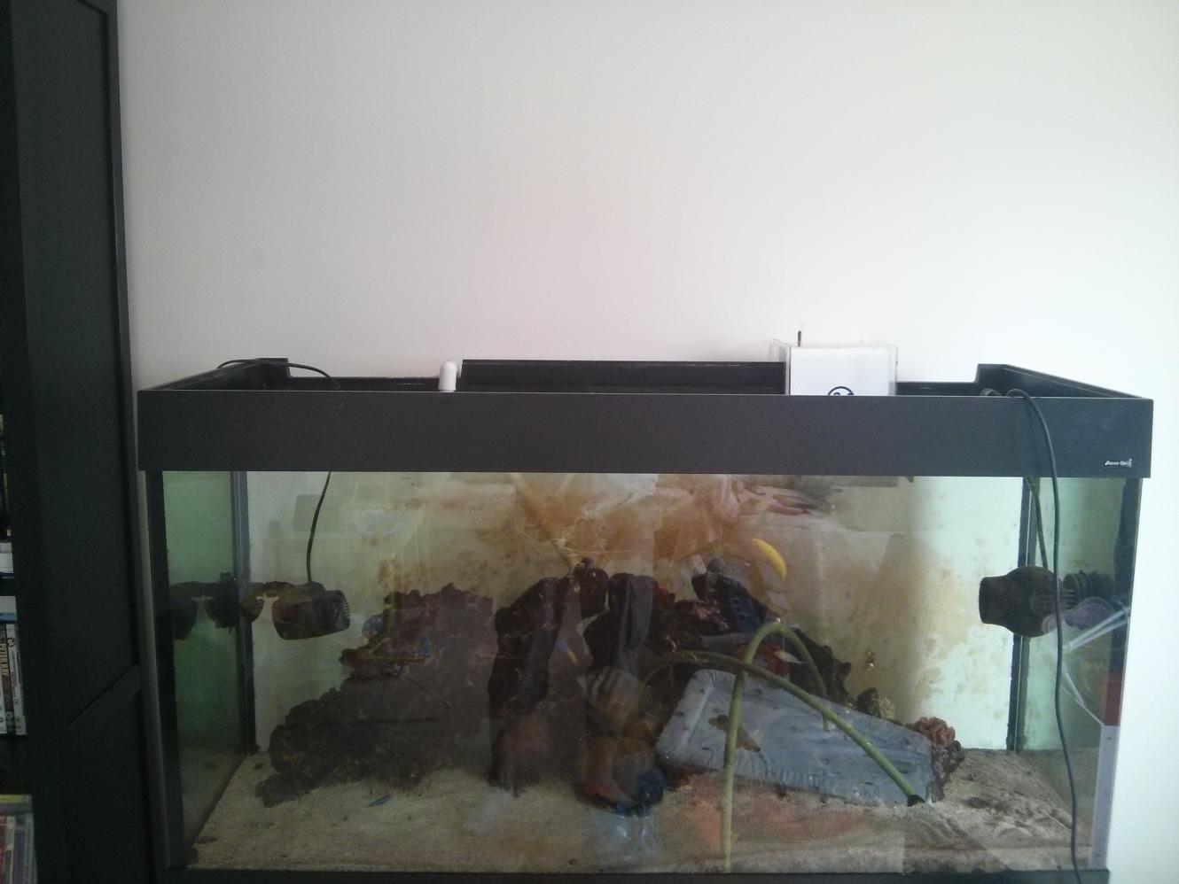 My Diy Led Build Using Arduino Controller Page 3 Reef2reef