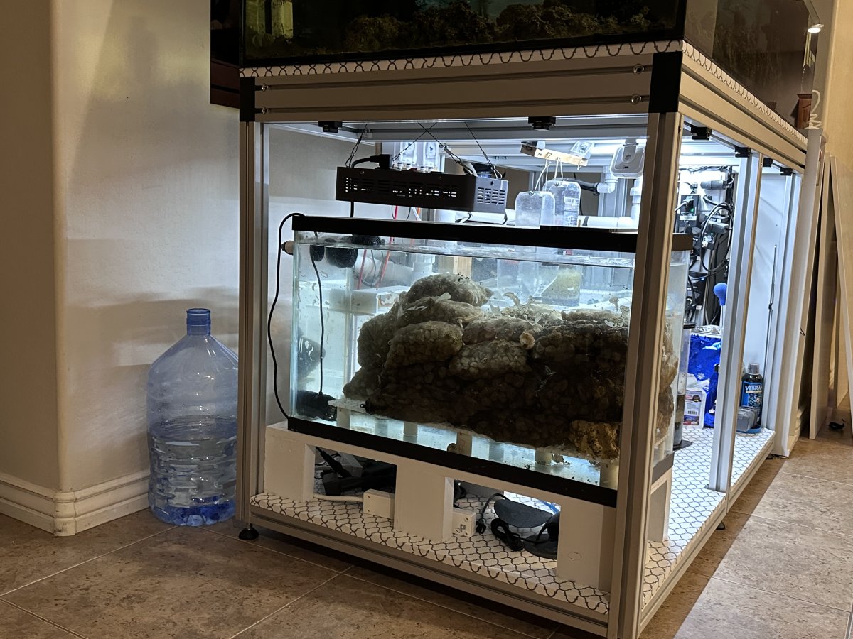 Show Us Your T-Slot Aluminum Stands ! | Page 12 | Reef2Reef