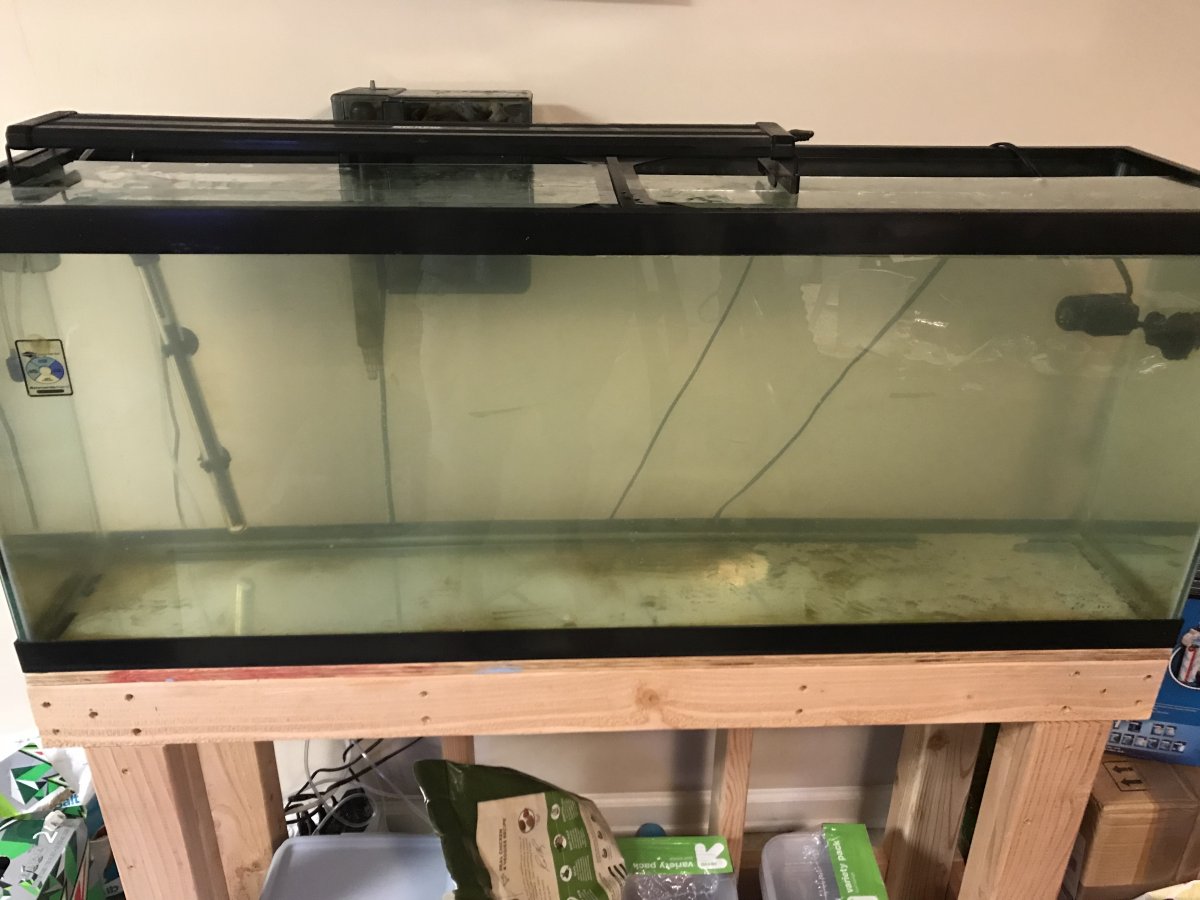 Maryland - 45 gallon qt tank and stand | Reef2Reef