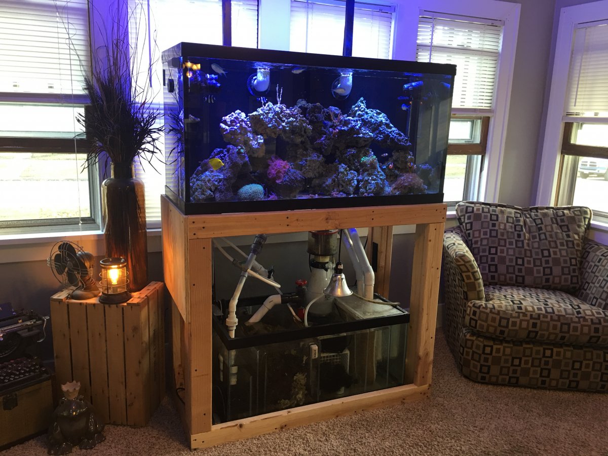 90 Gallon Tank (Re)Build | Reef2Reef