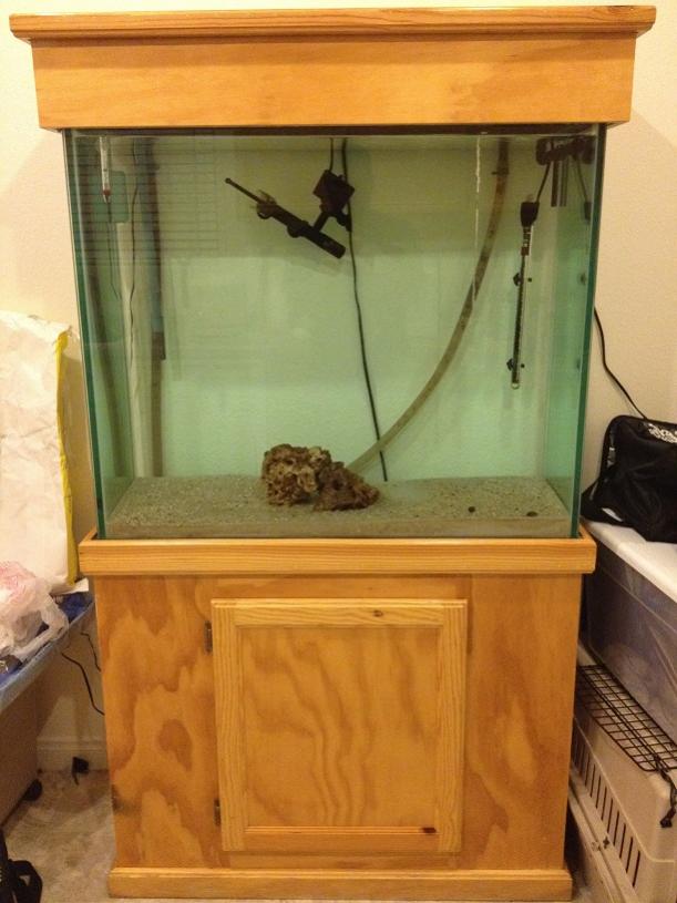 Build Thread - My 70 gallon P.I.T.Behind tank!!! | Reef2Reef