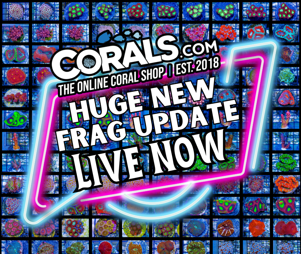 **NEW WYSIWYG Frag Update to cure those Monday Blues!** Over 180 ...