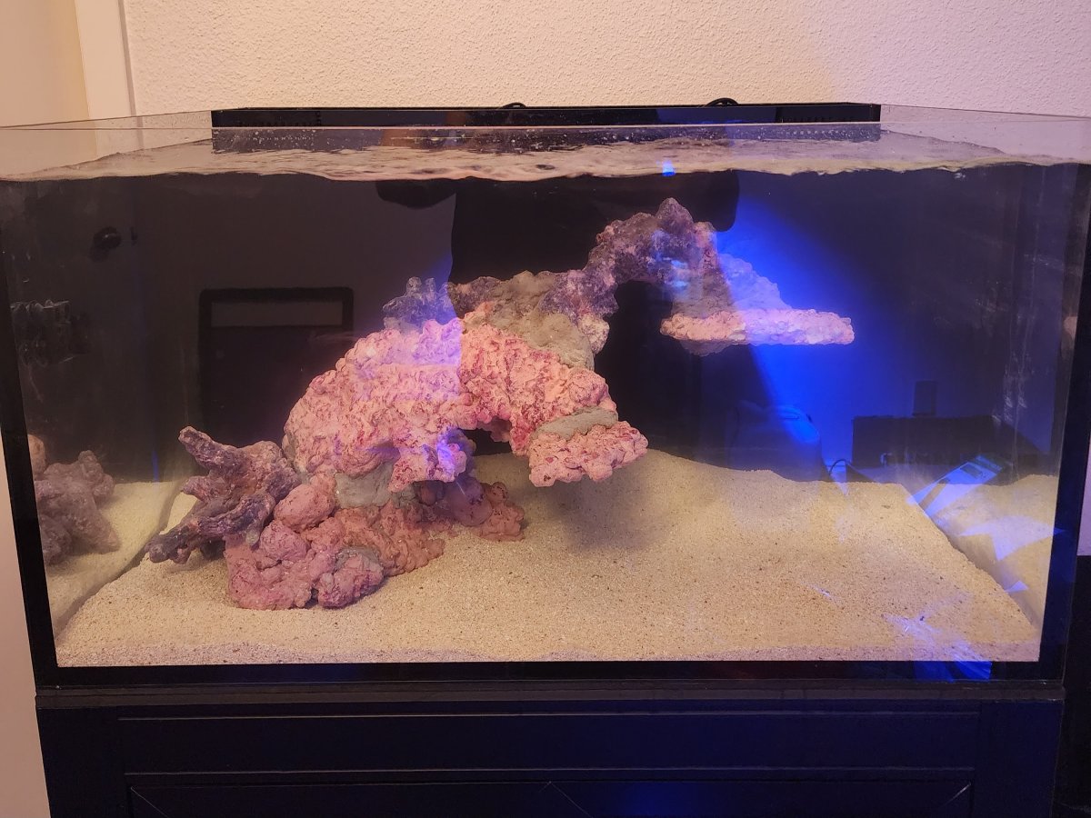New Scape in IM 50 Lagoon. Need advice for coral placement. | Reef2Reef