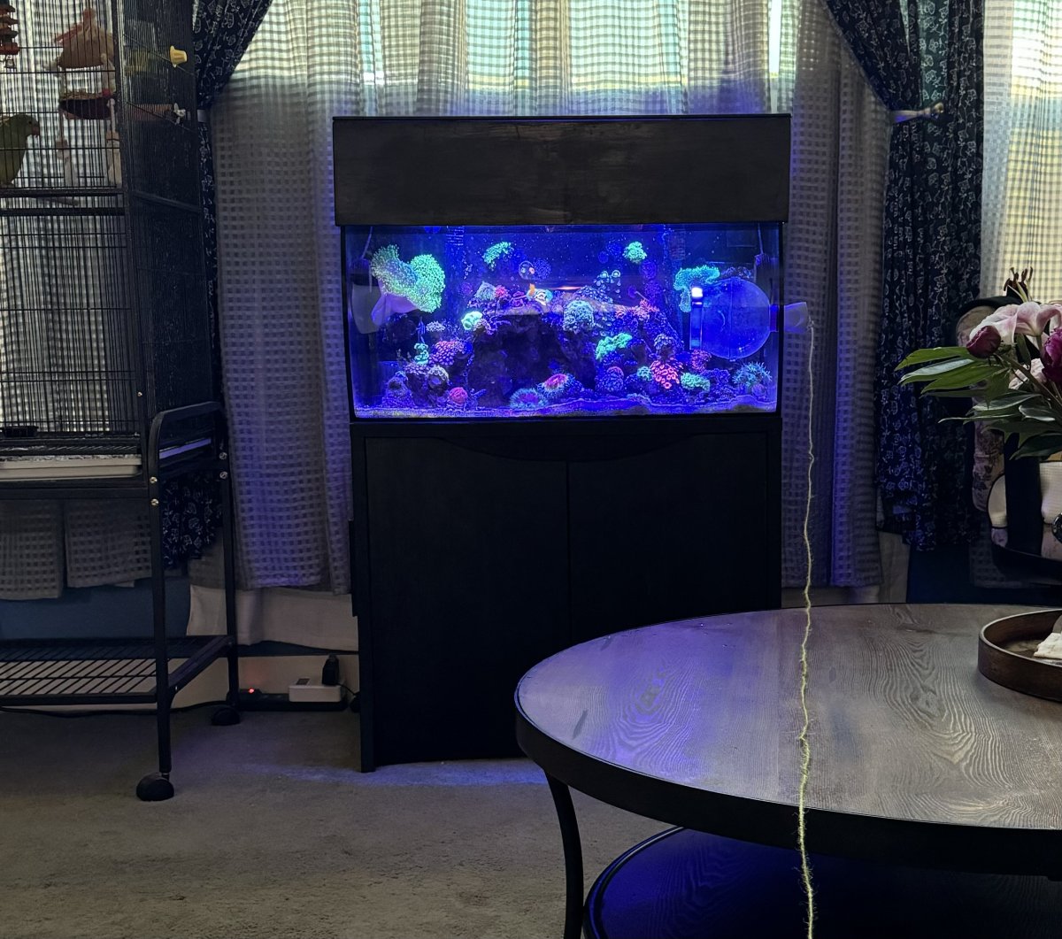 Fish trap hack | Reef2Reef