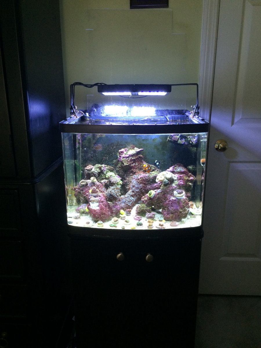 2 Fluval Sea Nano reef LED | Reef2Reef