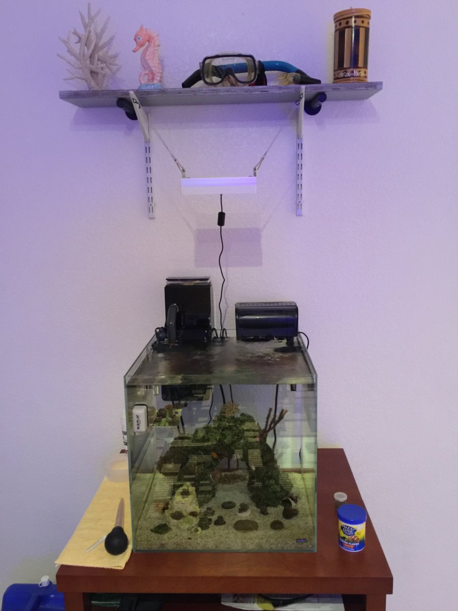 Hydra 26 HD Mount | Reef2Reef