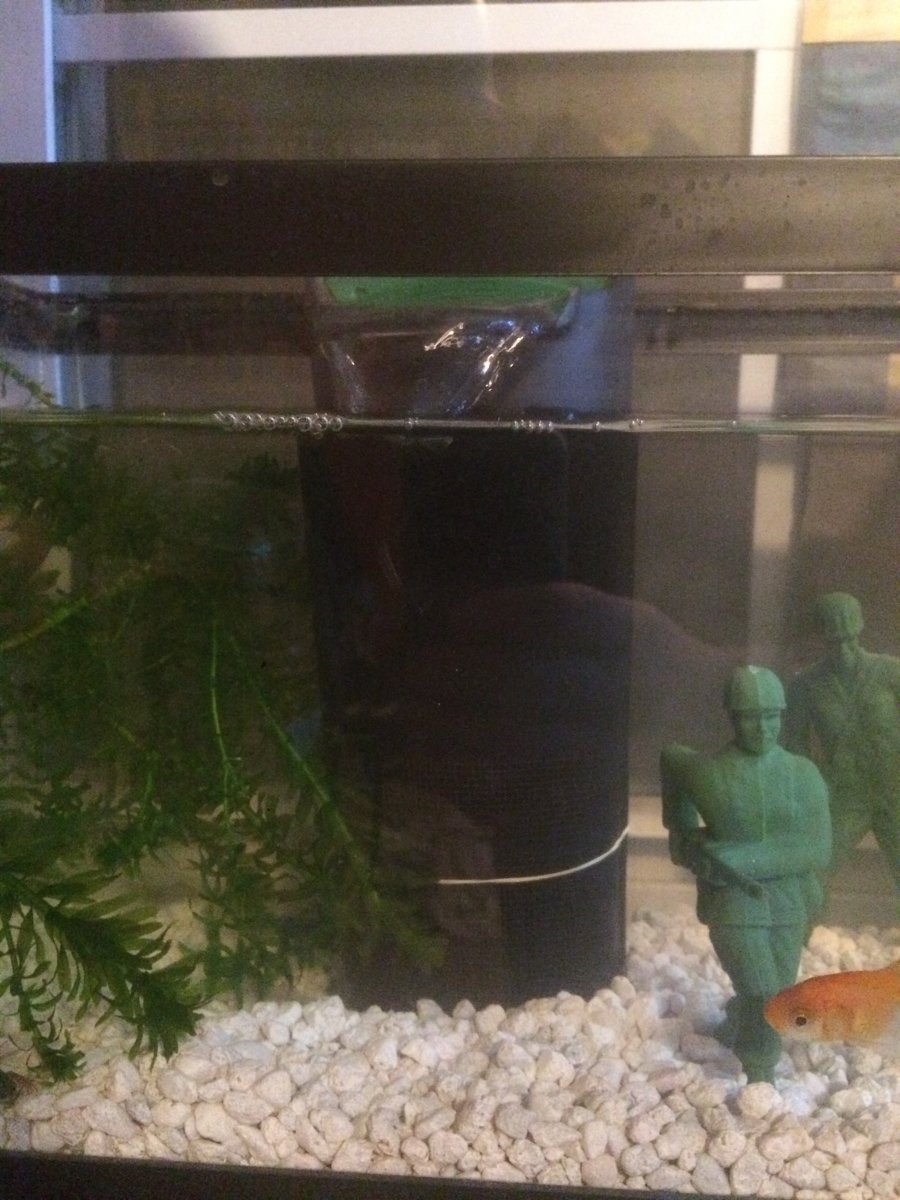 What's something simple that can be done with a 2.5 gal tank. | Reef2Reef