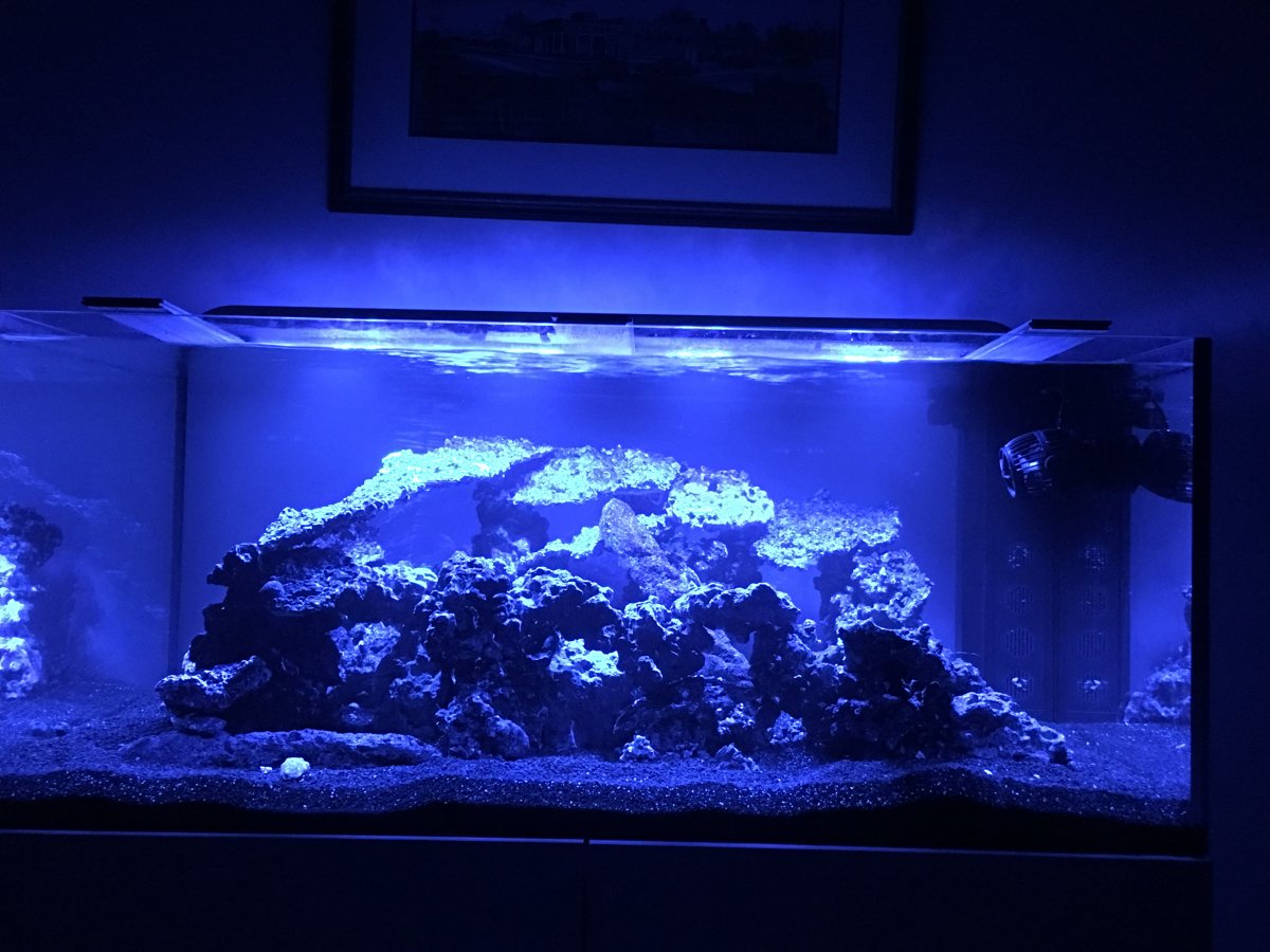 Setting up my Dream tank elos 120xl | Reef2Reef
