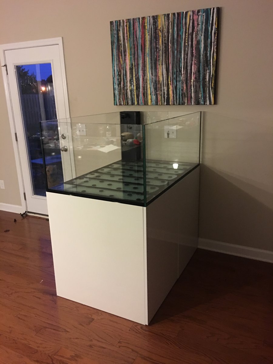 Build Thread - My dream tank elos 120xl | Reef2Reef