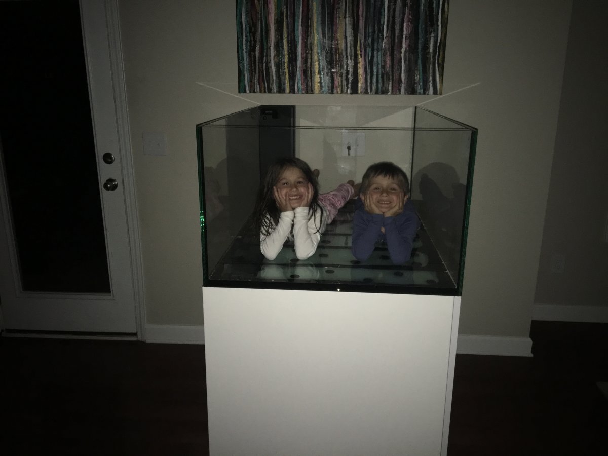 Build Thread - My dream tank elos 120xl | Reef2Reef