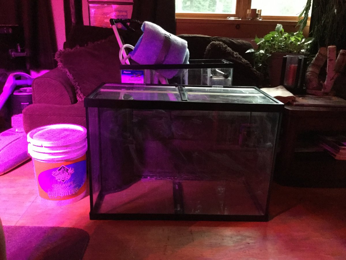 Build Thread - 65G Cichlid tank with 40G Sump/planted refugium | Reef2Reef