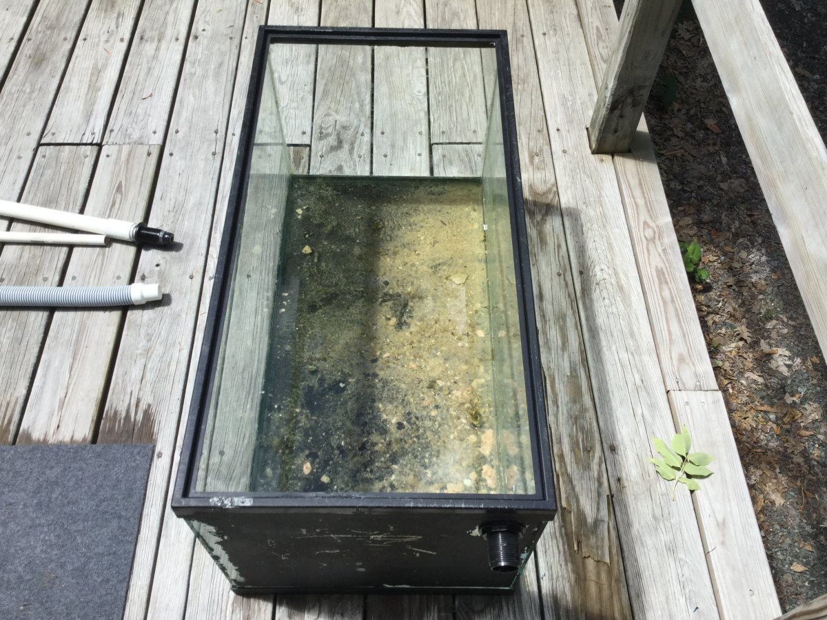 Build Thread - 65G Cichlid tank with 40G Sump/planted refugium | Reef2Reef