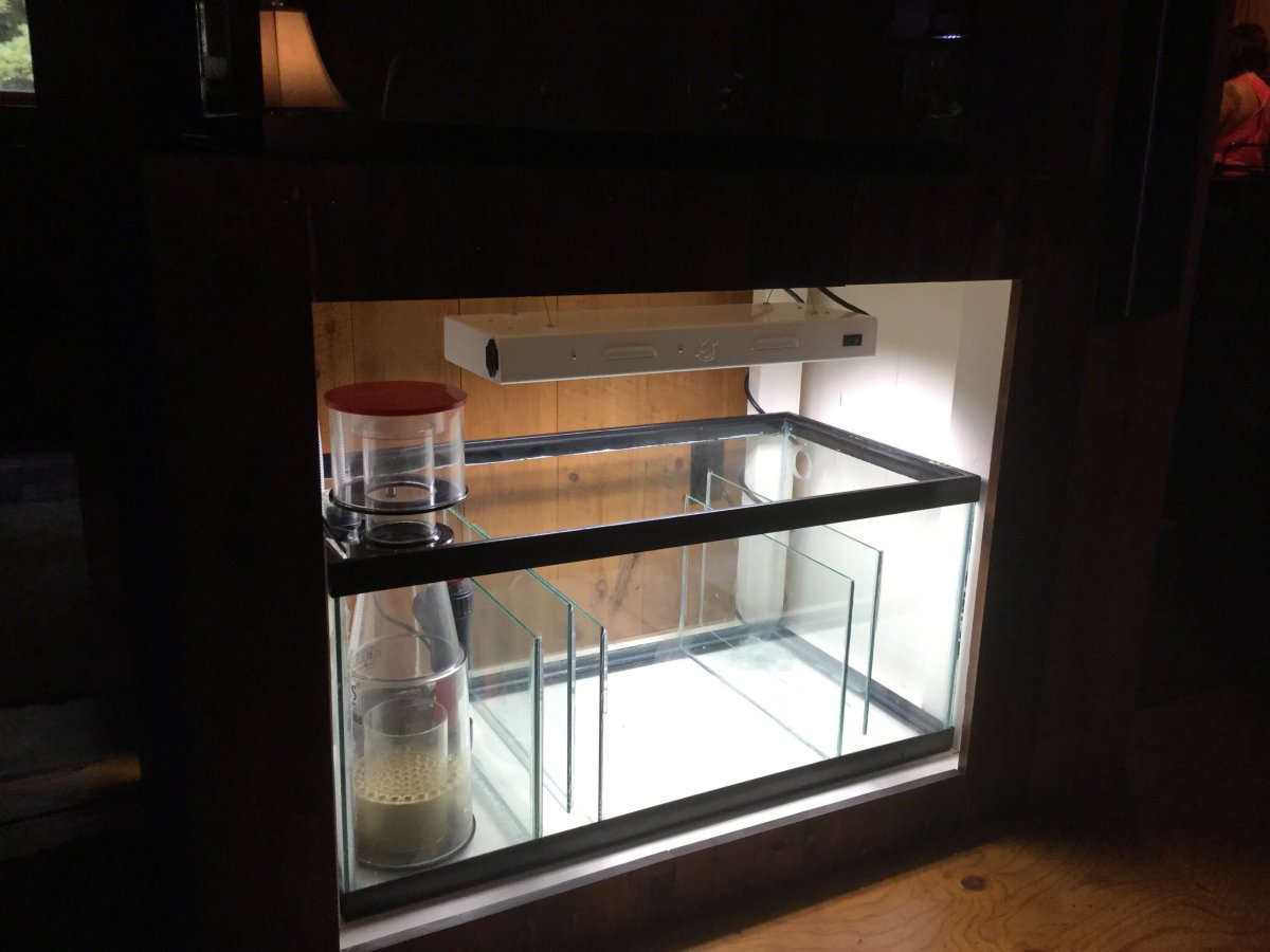Build Thread - 65G Cichlid tank with 40G Sump/planted refugium | Page 2 ...