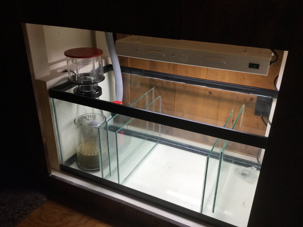 Build Thread - 65G Cichlid tank with 40G Sump/planted refugium | Page 2 ...