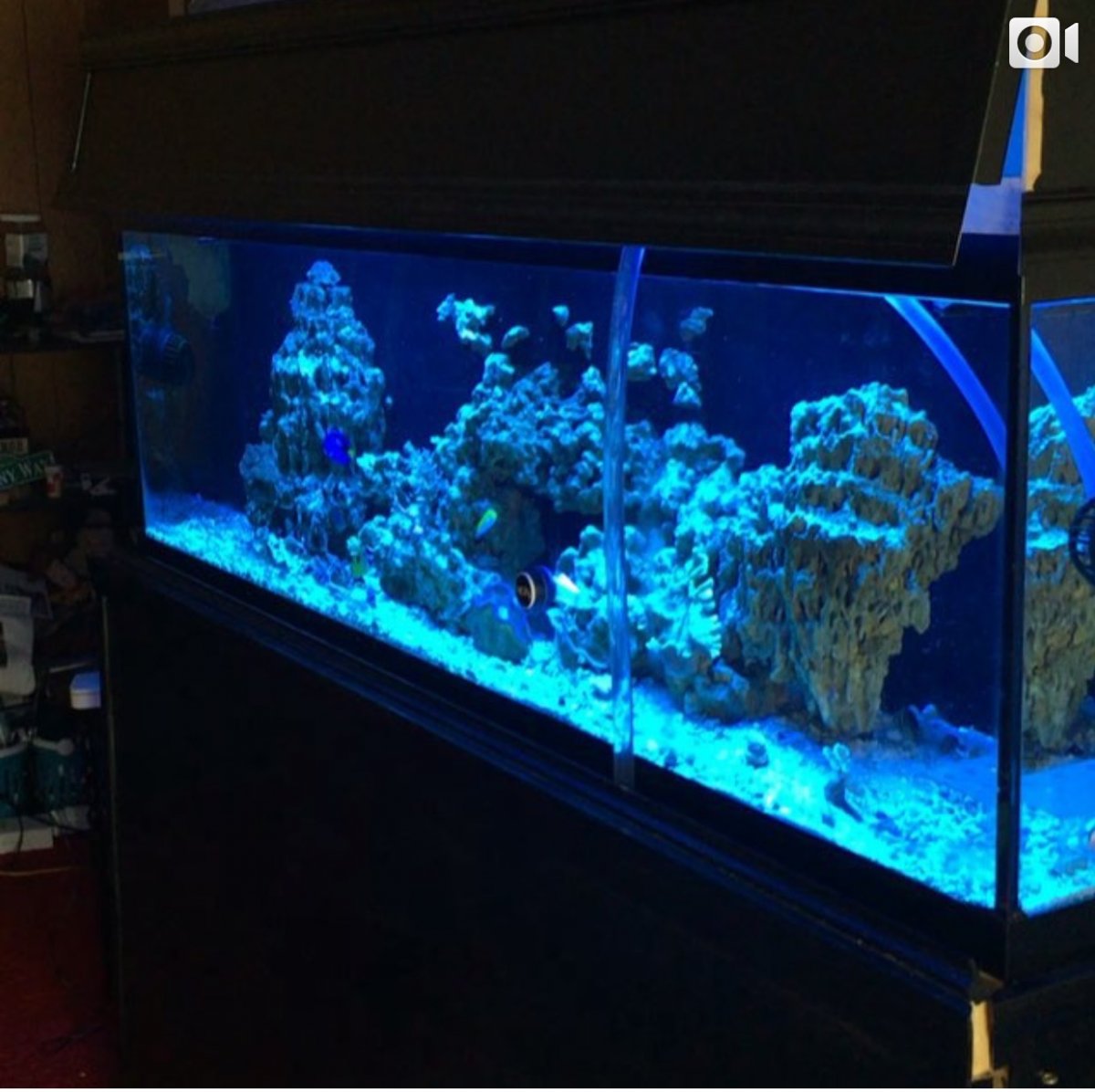 DIY Canopy Material | Reef2Reef