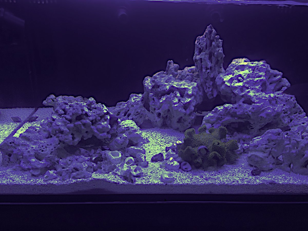 Nano Build - IM 25 Lagoon Build | Page 2 | Reef2Reef