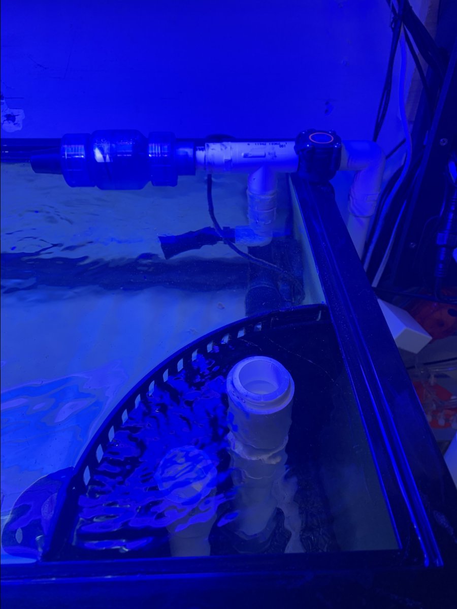 Aquen Megaflow - Overflow Setup | Reef2Reef