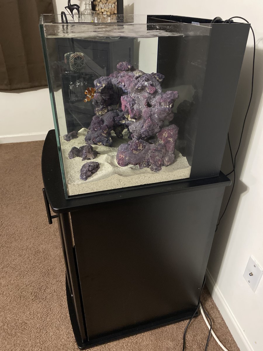 Waterbox 30 Cube stand | Reef2Reef