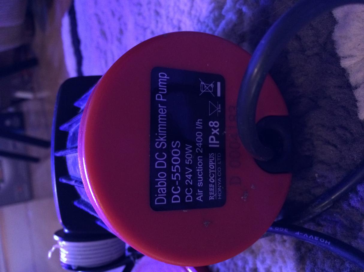Reef octopus diabalo dcs 250 | Reef2Reef