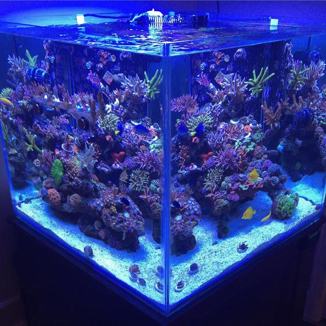 Cube Build - Inspired by the cube! - Official Cube FTS Show-off thread ...