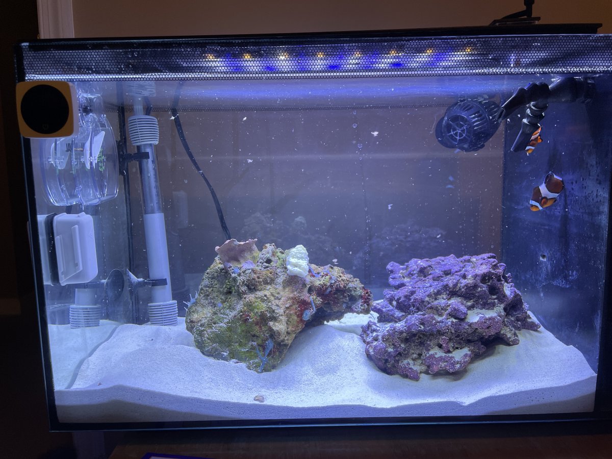 Nano Build - My nano clown tank! | Reef2Reef