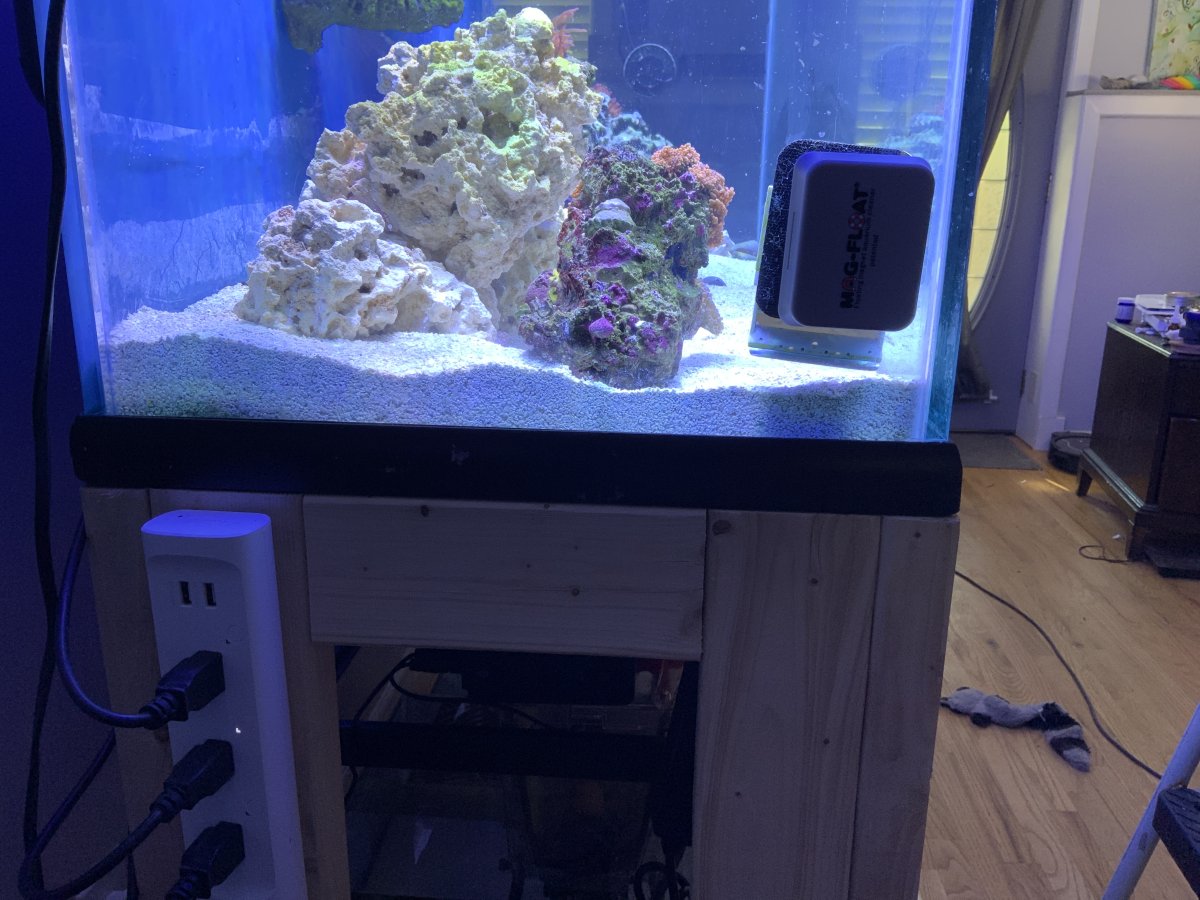 Build Thread - Our new, upgraded reef (100 gal tank) | Reef2Reef