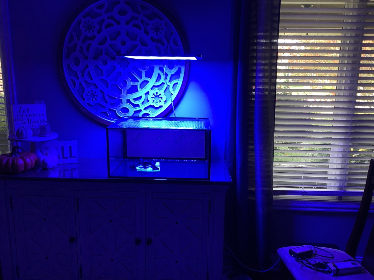 Nano Build - New lagoon build | Reef2Reef
