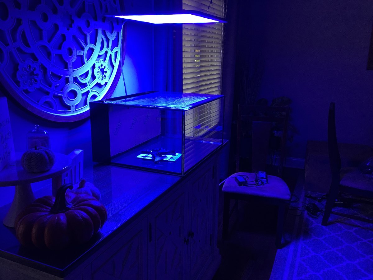 Nano Build - New lagoon build | Reef2Reef