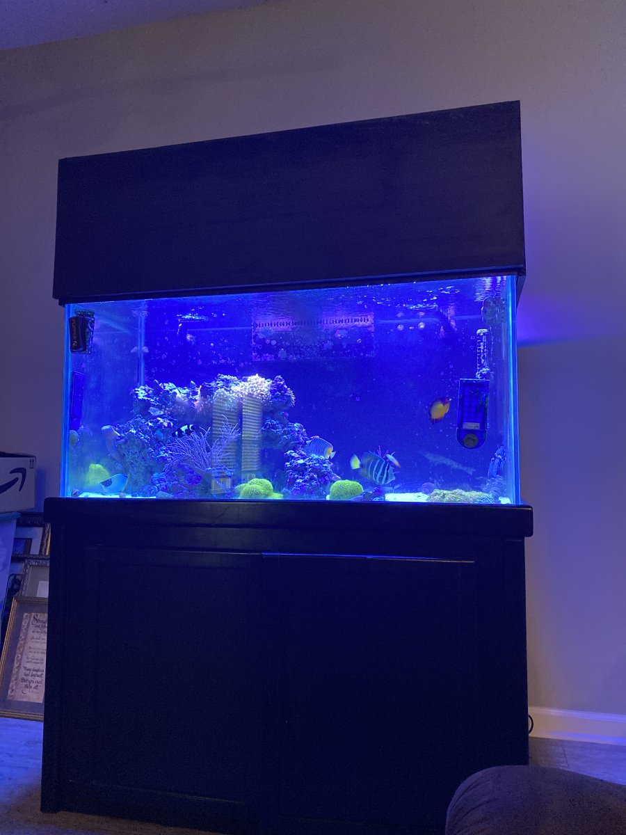 Reverse build! How to efficiently tear down a tank for a move | Reef2Reef
