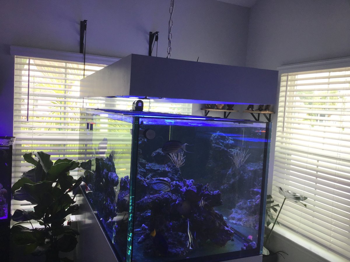 How to build a hood? | Reef2Reef