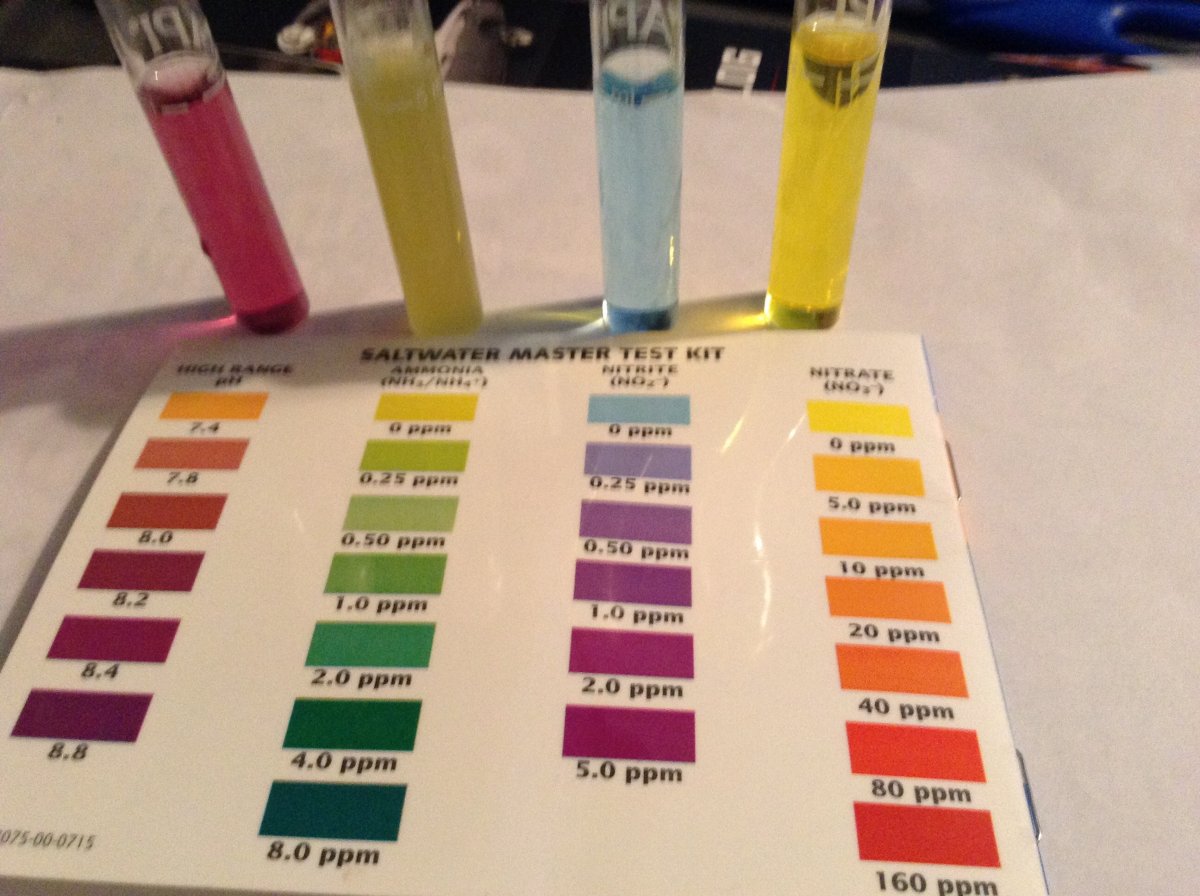Test kit levels | Reef2Reef