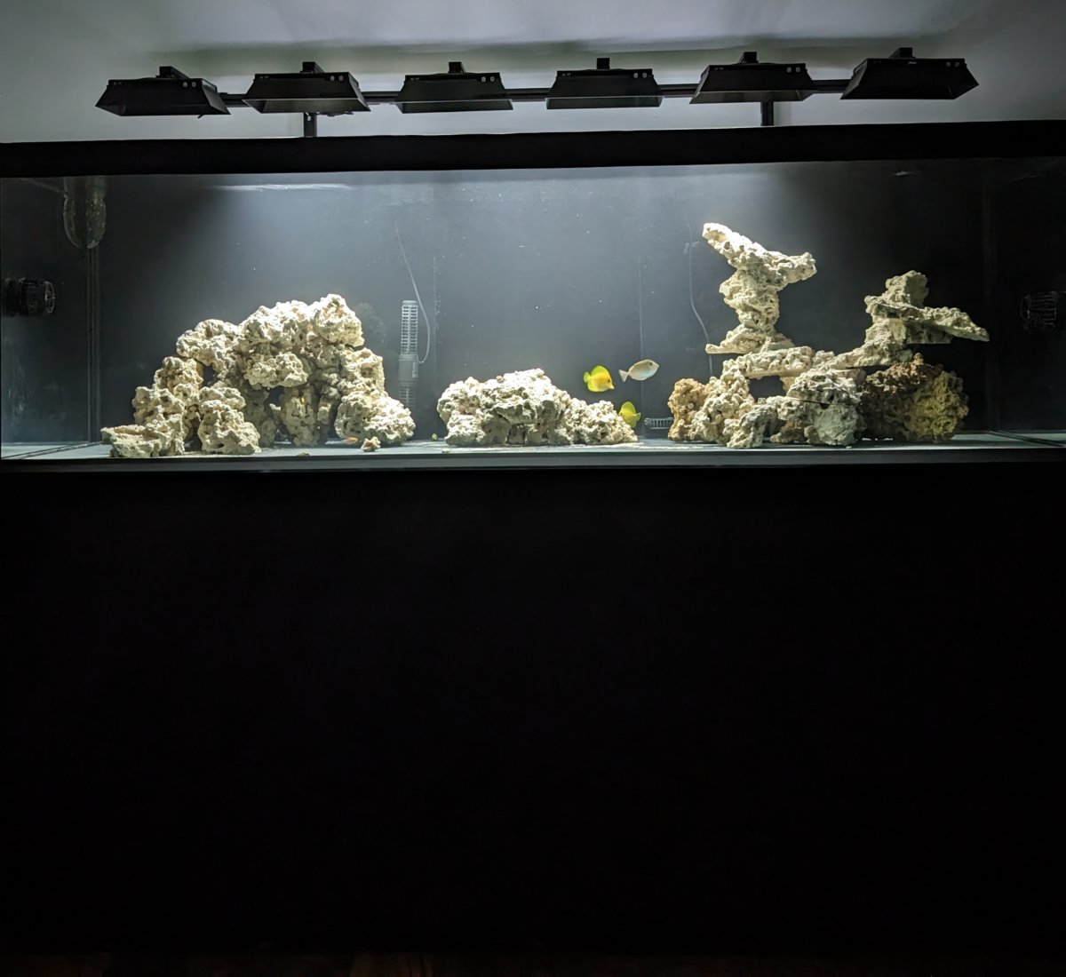 Show me you 8’ aquascape! | Reef2Reef