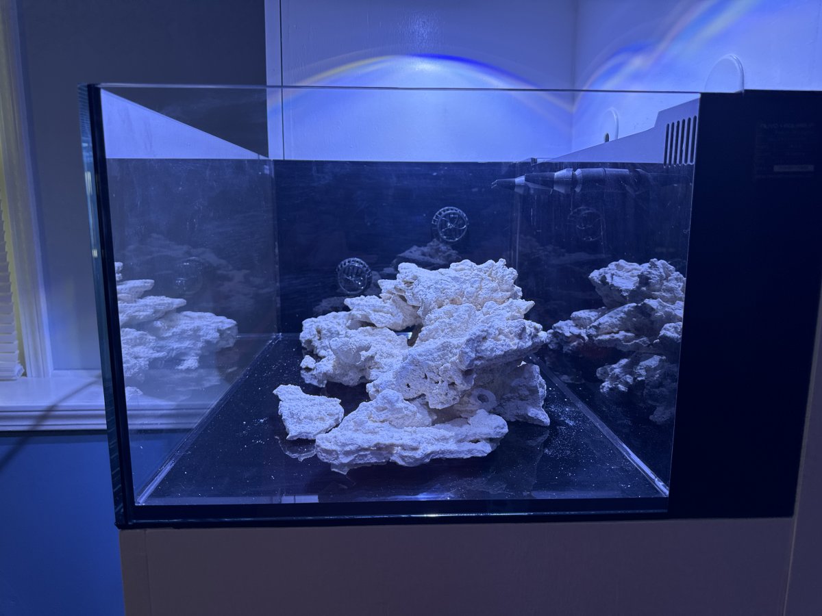 Please critique my ‘scape, and what is Marco rocks? | Reef2Reef