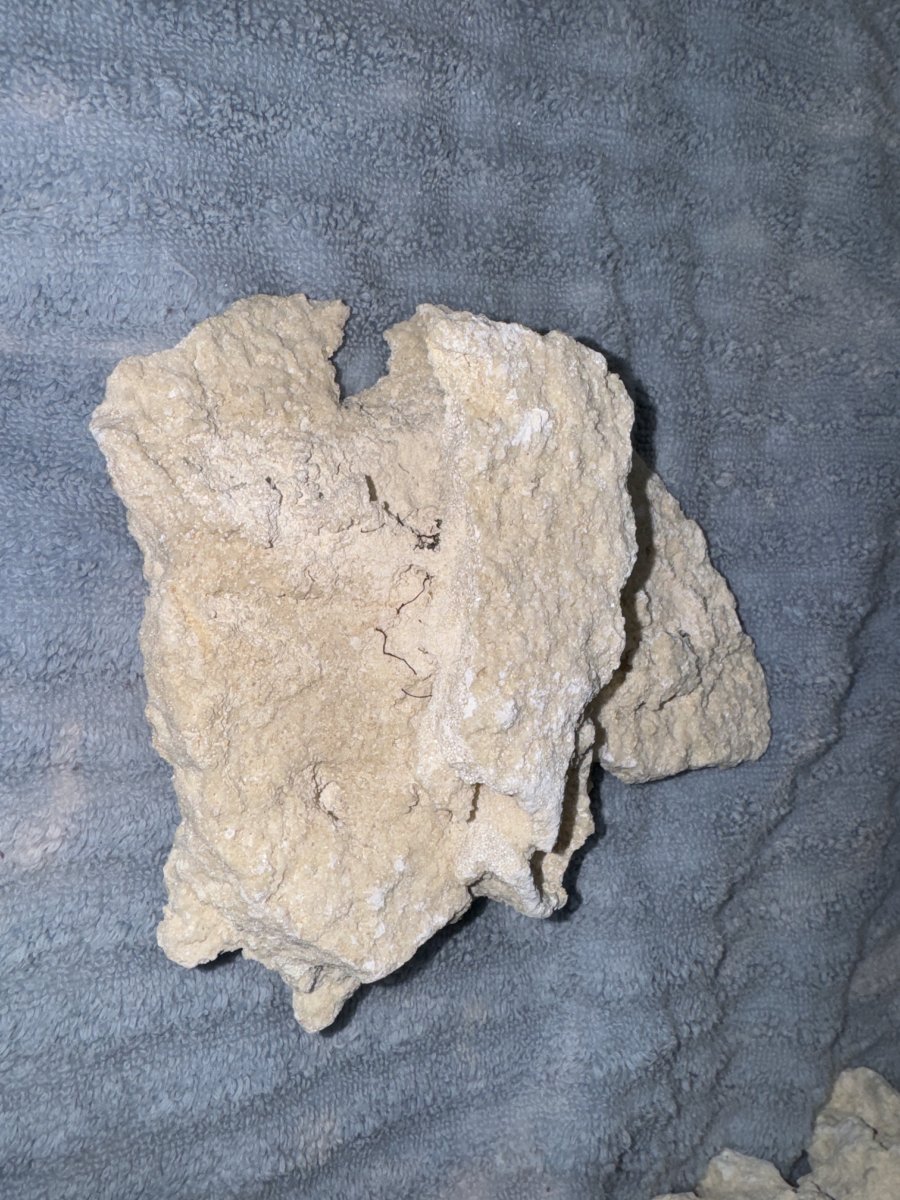 Please critique my ‘scape, and what is Marco rocks? | Page 2 | Reef2Reef