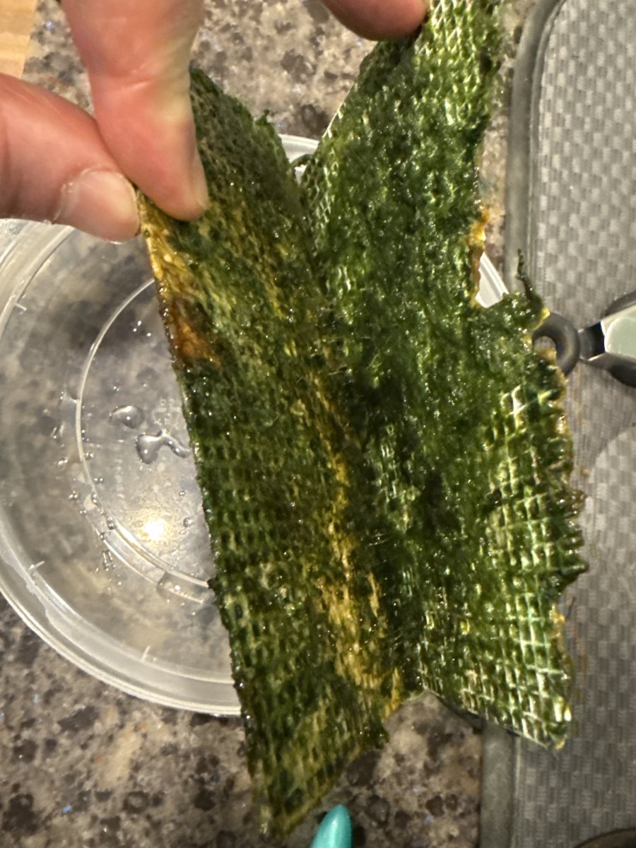 Best Algae turf scrubber??? | Reef2Reef
