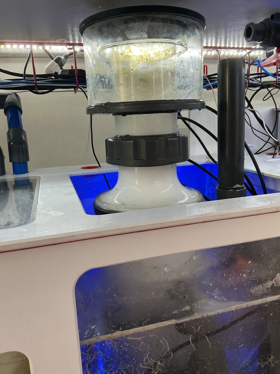 Skimmer Q&A Thread | Page 166 | Reef2Reef