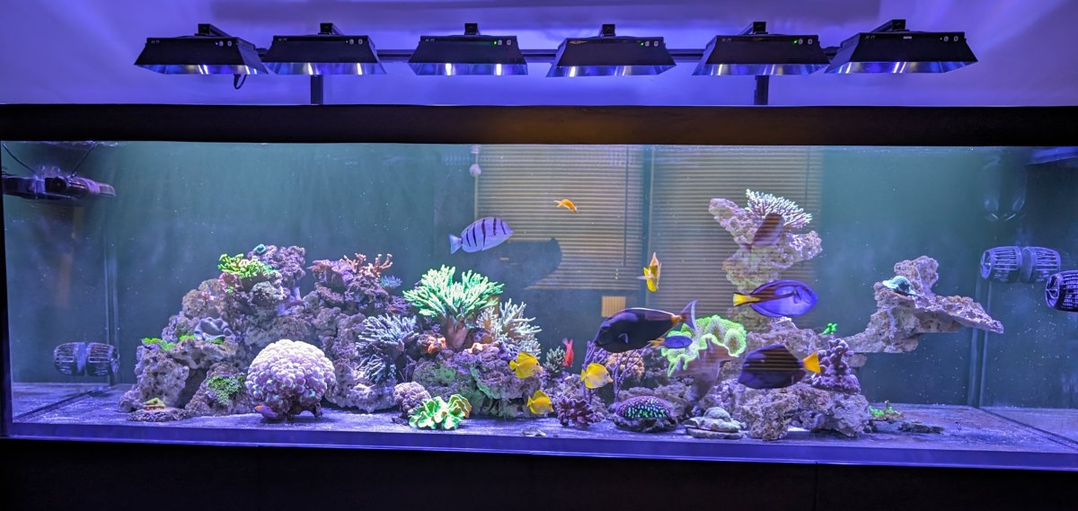 Euro bracing vs rimless large tank | Page 2 | Reef2Reef